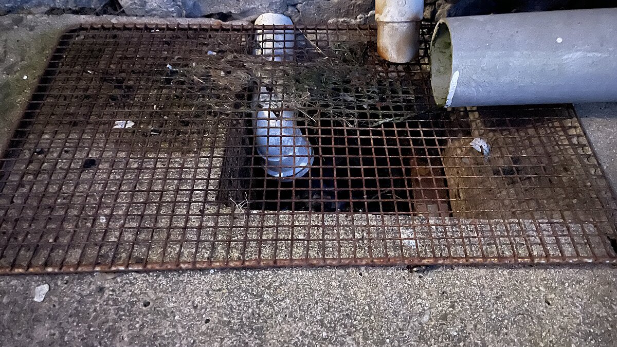 Conservative MP, Michelle Donelan votes to weaken water regulator ...